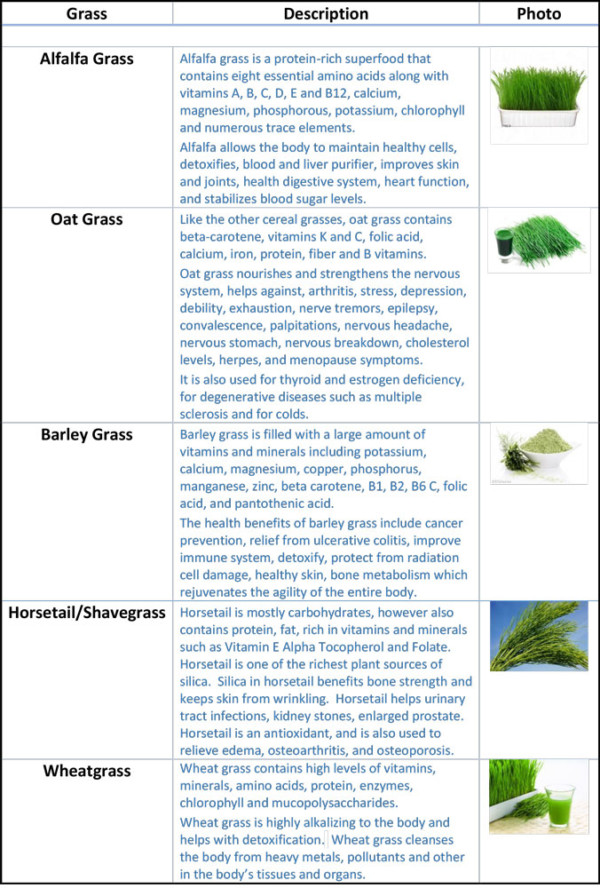Discover the Health Benefits of Grasses | SpiritQuest
